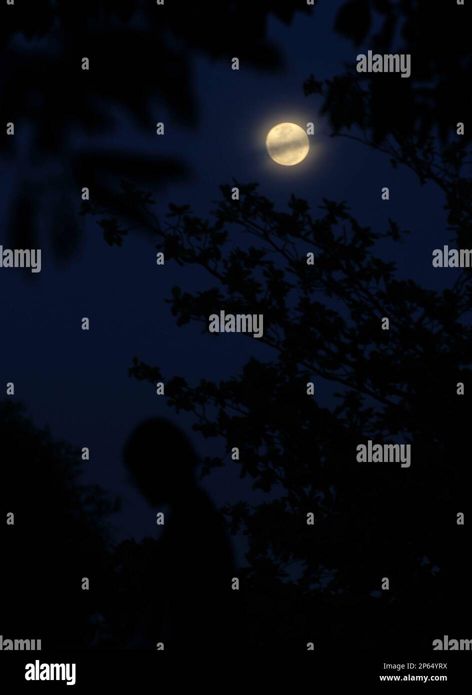 Photograph of the full moon as it rises over Singapore on 19 March 2011 ...