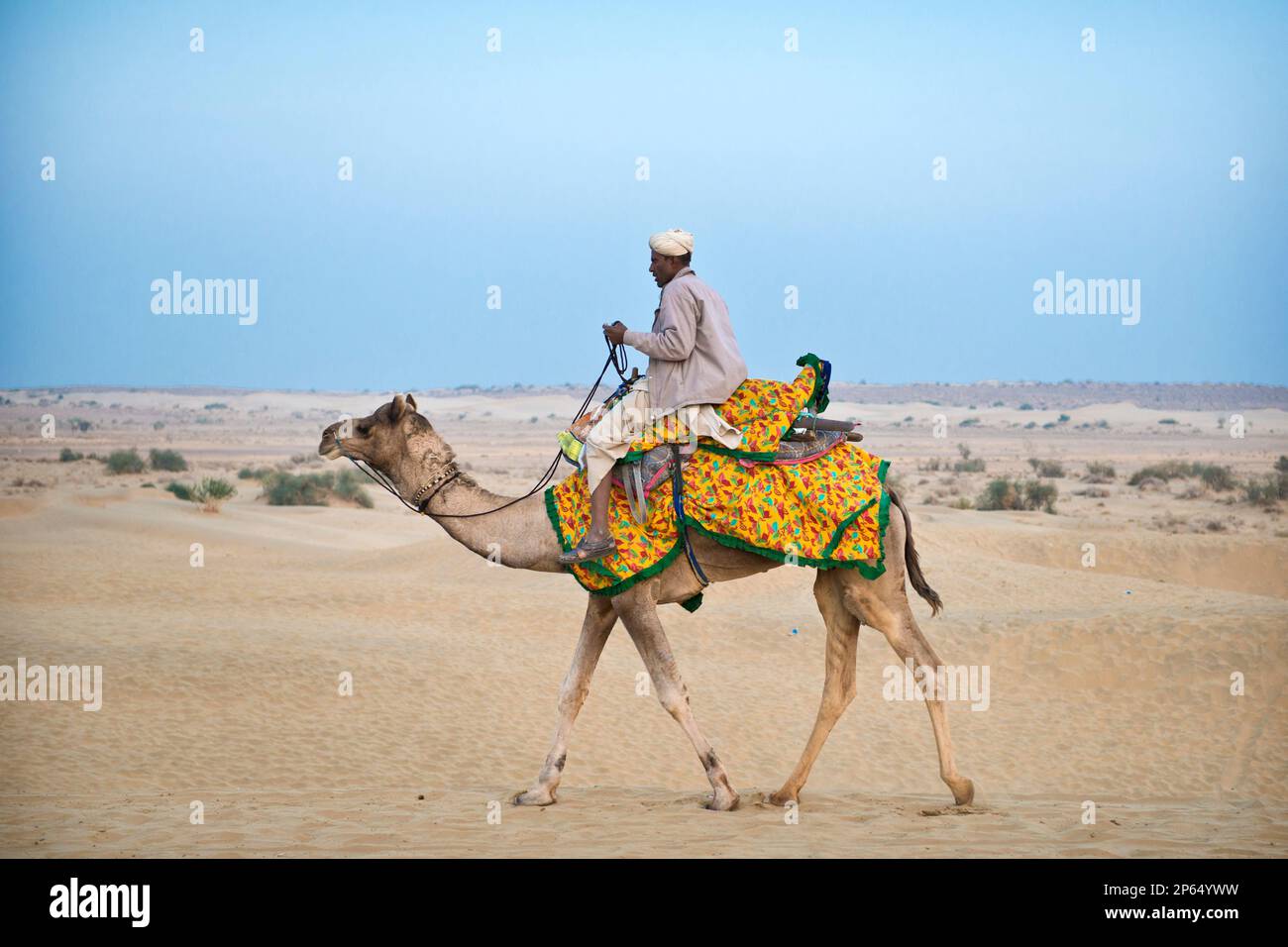 India, Rajasthan, Jaisalmer, camel ride desert Stock Photo - Alamy