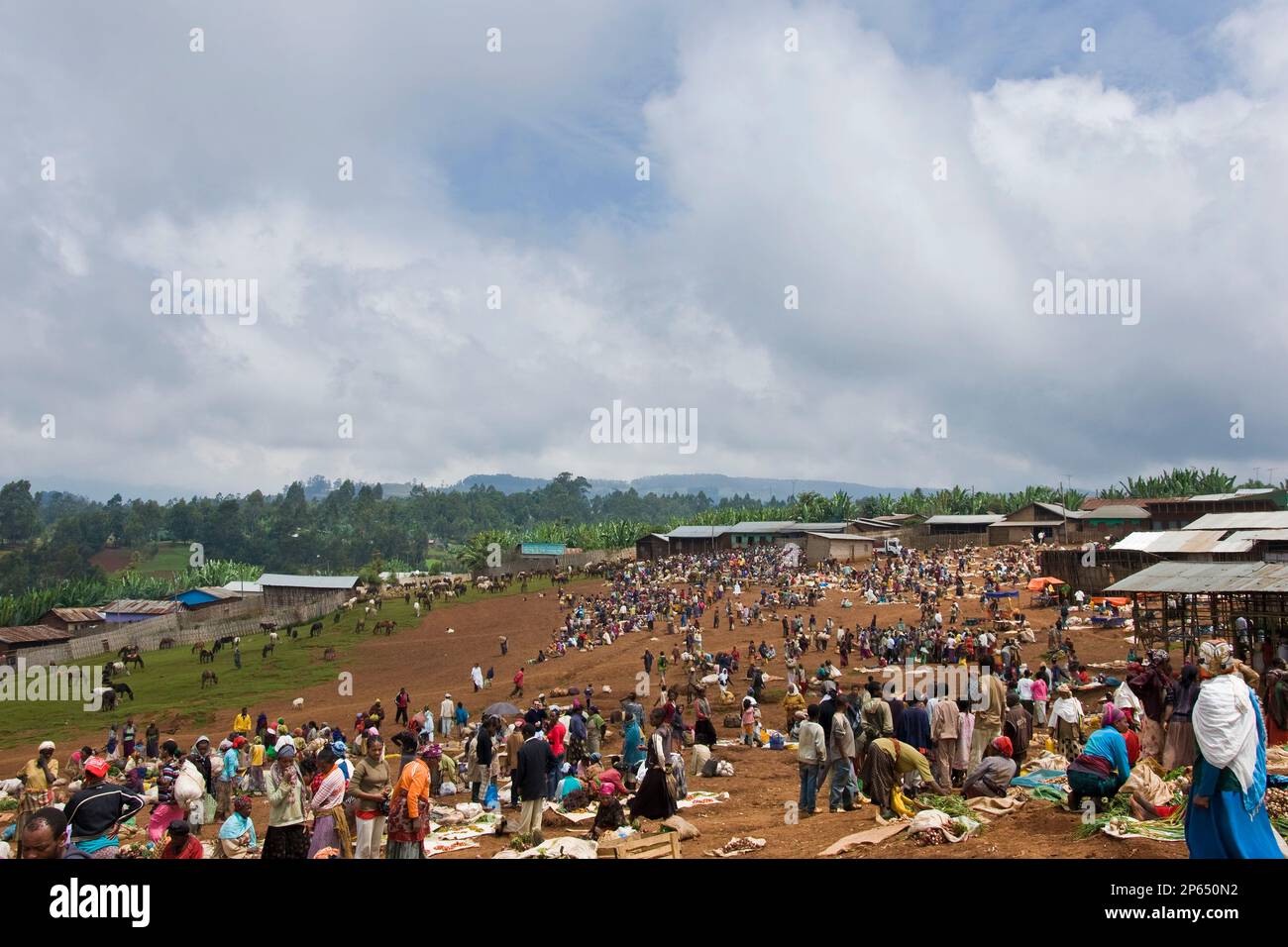 Market, Dorzè land, Chencha, Ethiopia Stock Photo - Alamy