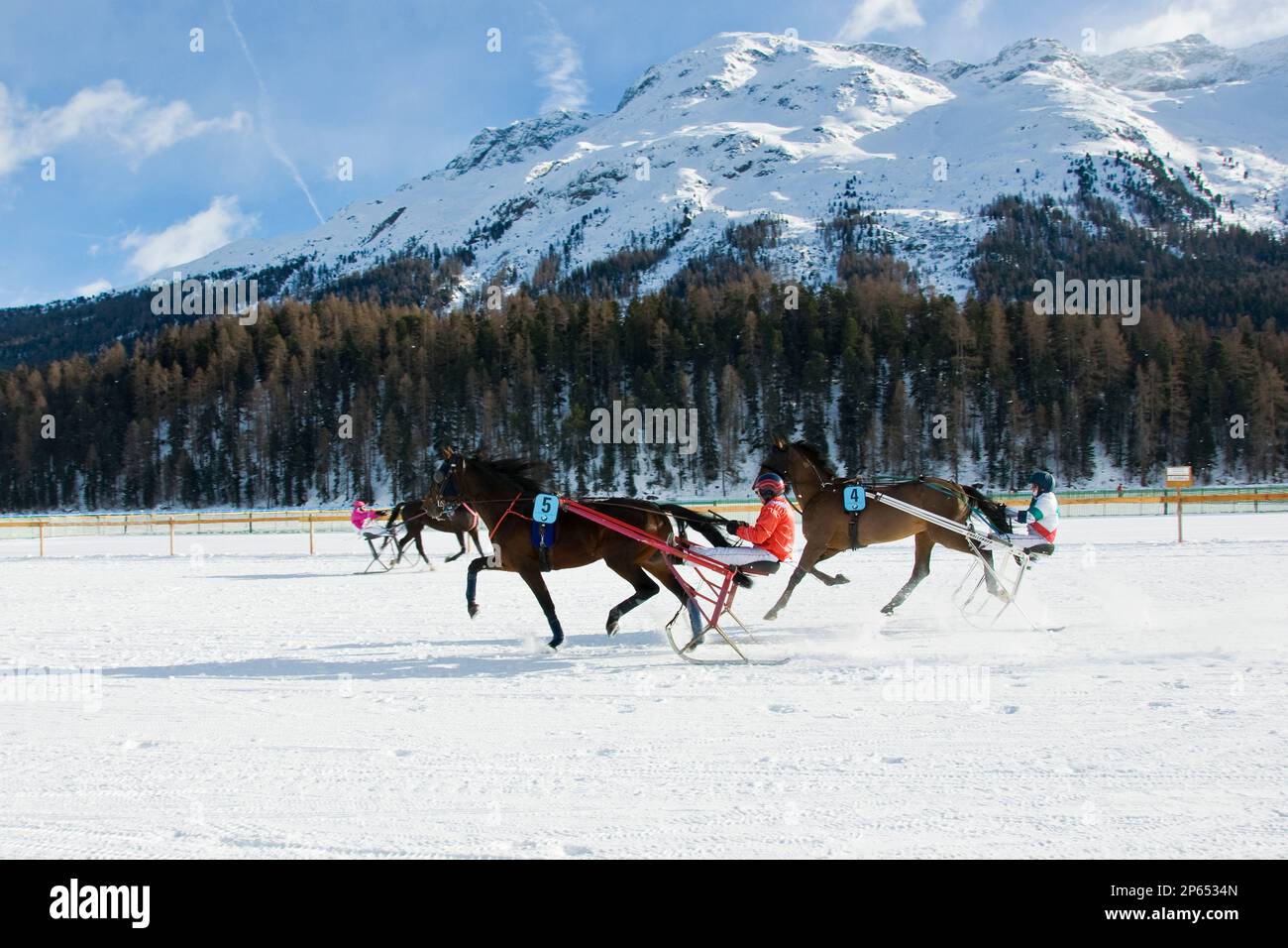 Switzerland, St. Moritz, White turf race Stock Photo - Alamy