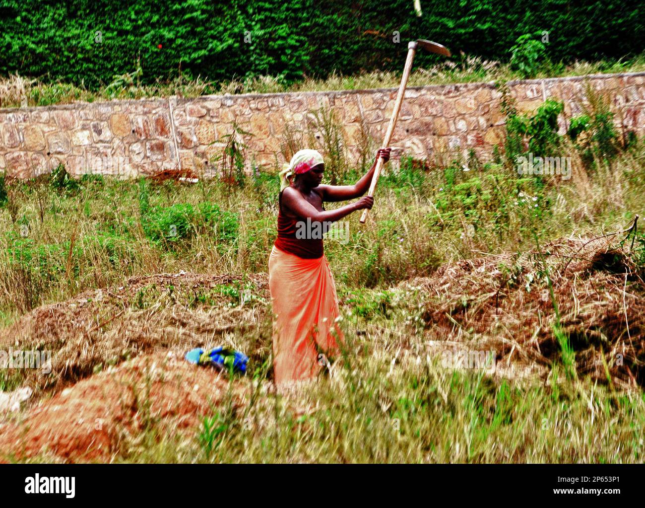 A Rwandan woman works in the fields planting during travel in Kigali ...