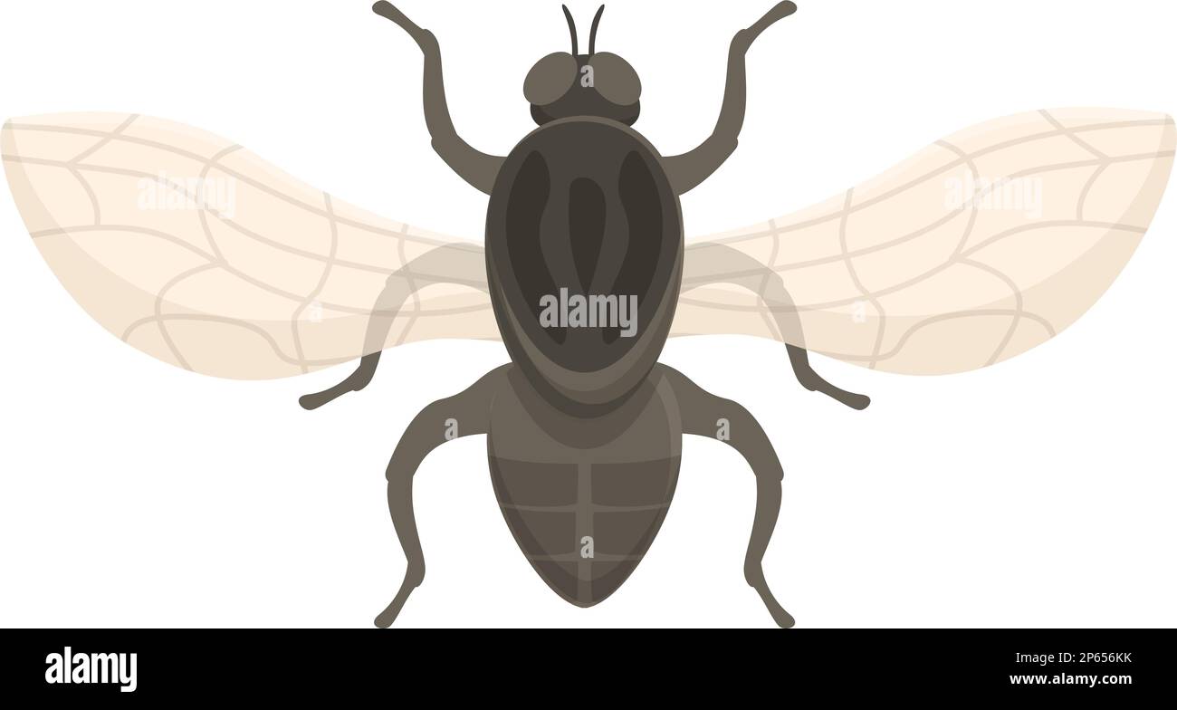 Tik tsetse fly icon cartoon vector. Africa insect. Animal etching Stock ...