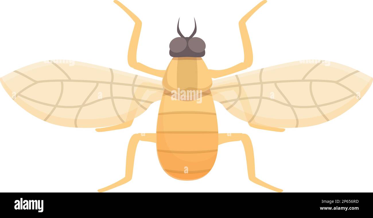 Africa tsetse fly icon cartoon vector. Tik insect. Ancient wings Stock ...