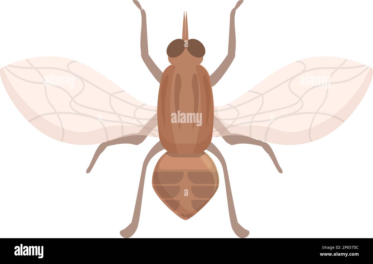 Glossinidae tsetse fly icon cartoon vector. Insect mosquito. Tik house ...