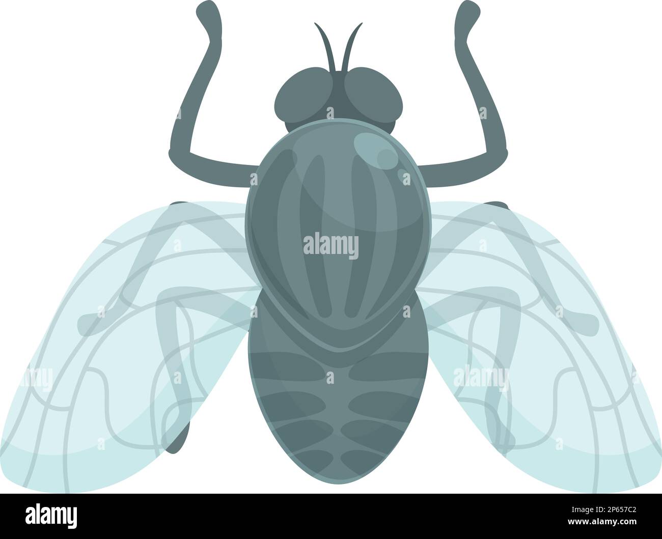 Tsetse fly mosquito icon cartoon vector. Africa insect. Nature wings ...