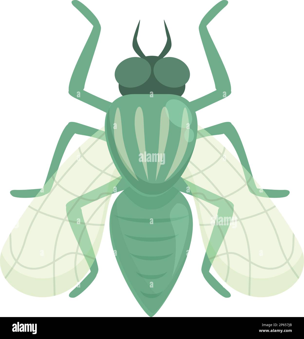 Green tsetse fly icon cartoon vector. Africa insect. Nature tropical ...