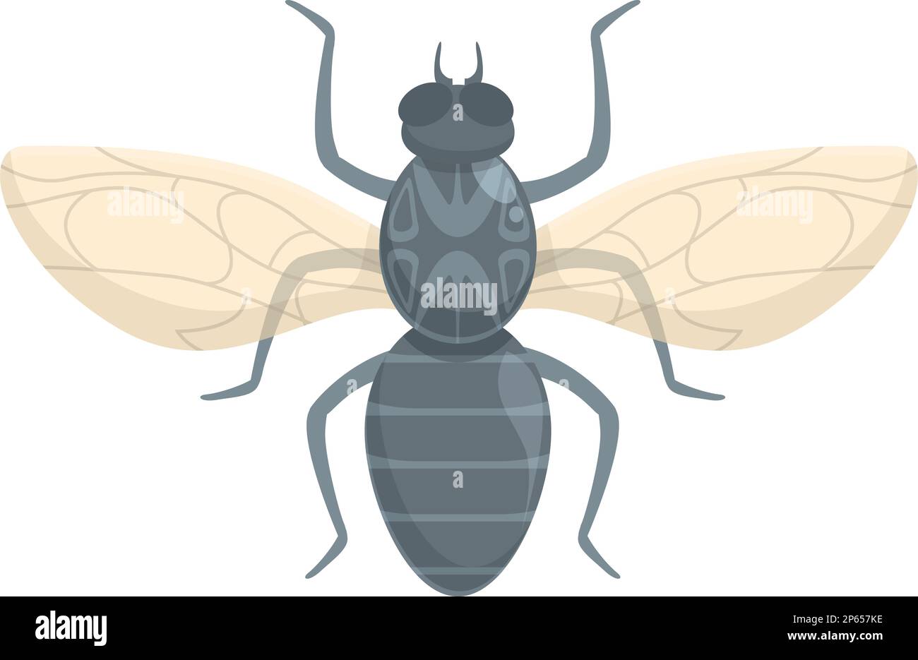 Inhabit tsetse fly icon cartoon vector. Animal mosquito. Tik wings ...