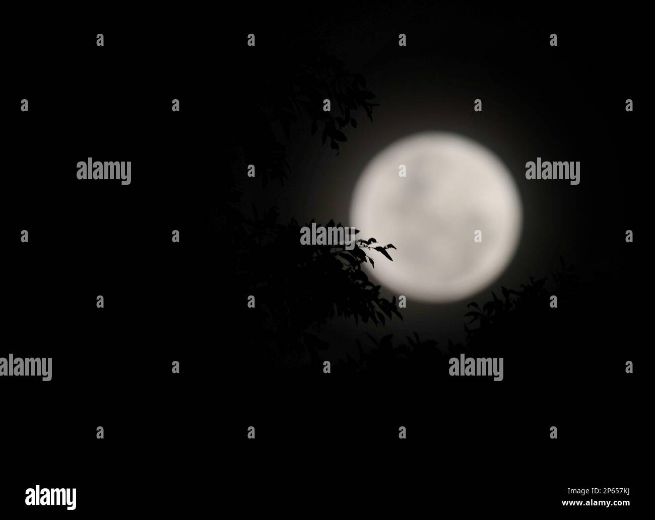 Photograph of the full moon as it rises over Singapore on 19 March 2011 ...