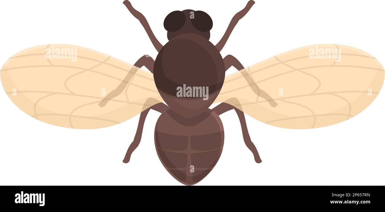 House tsetse fly icon cartoon vector. Africa insect. Health animal ...