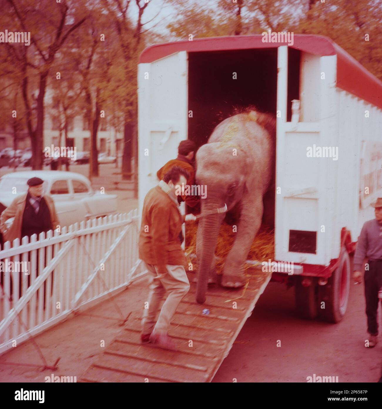 Archives 70ies: Jean Richard circus, Lyon, France,1970 Stock Photo - Alamy