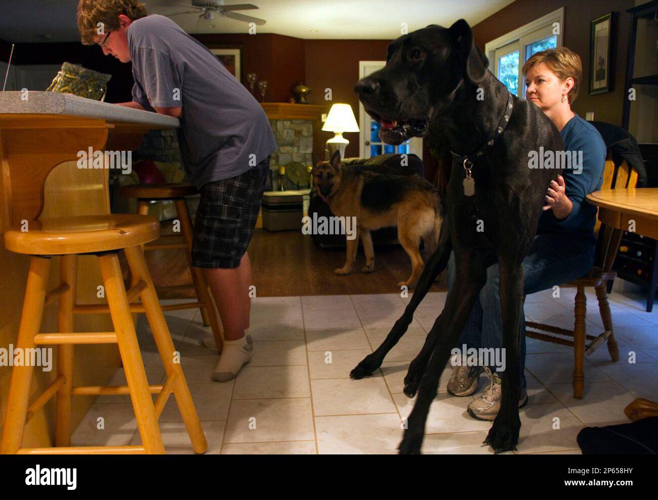 Zeus sits on Denise Doorlag in their dining room on Tuesday, Sept. 18 ...