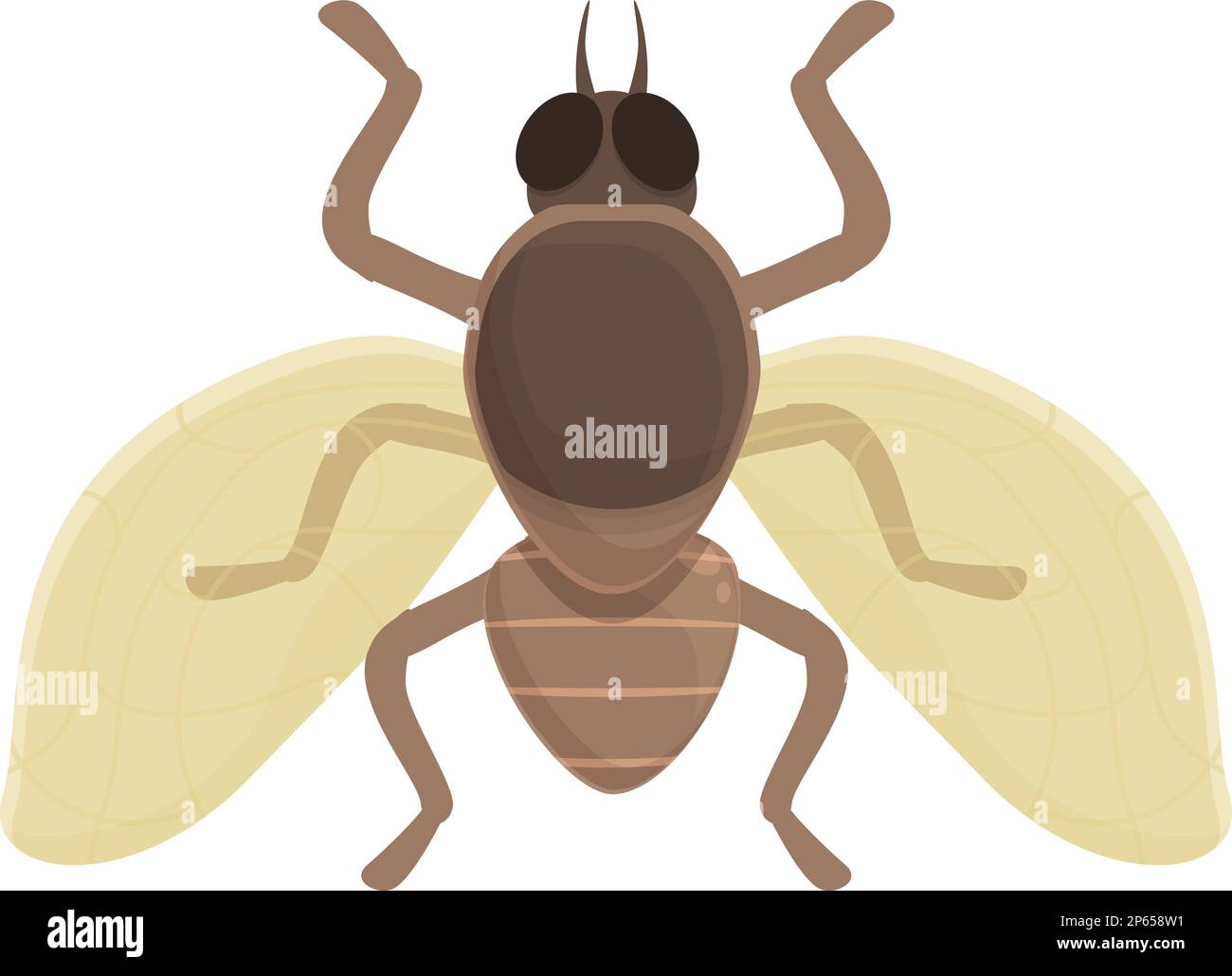 Tropical tsetse fly icon cartoon vector. Nature tik. Africa mosquito ...