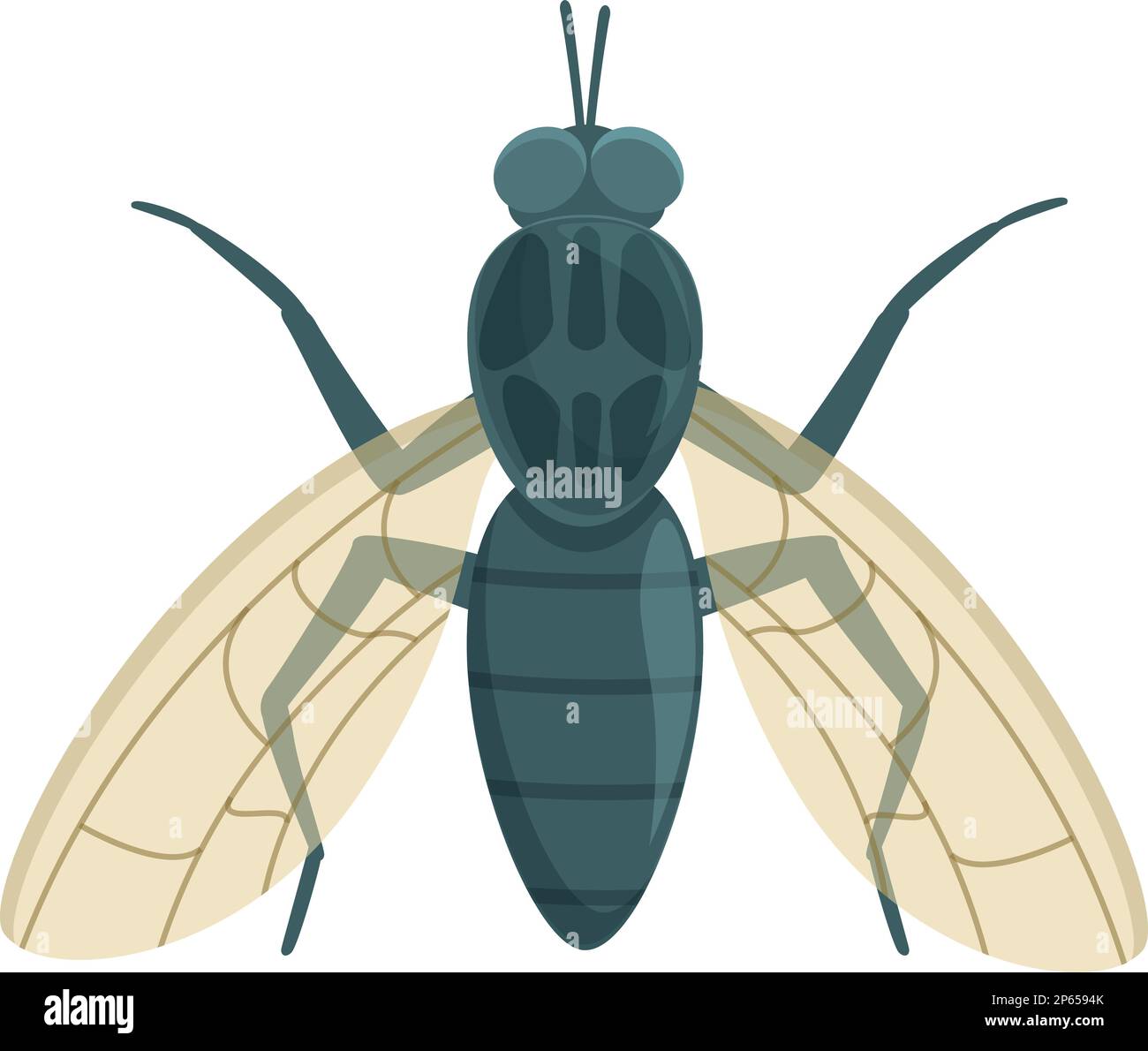 Tsetse fly icon cartoon vector. Africa insect. Animal mosquito Stock ...