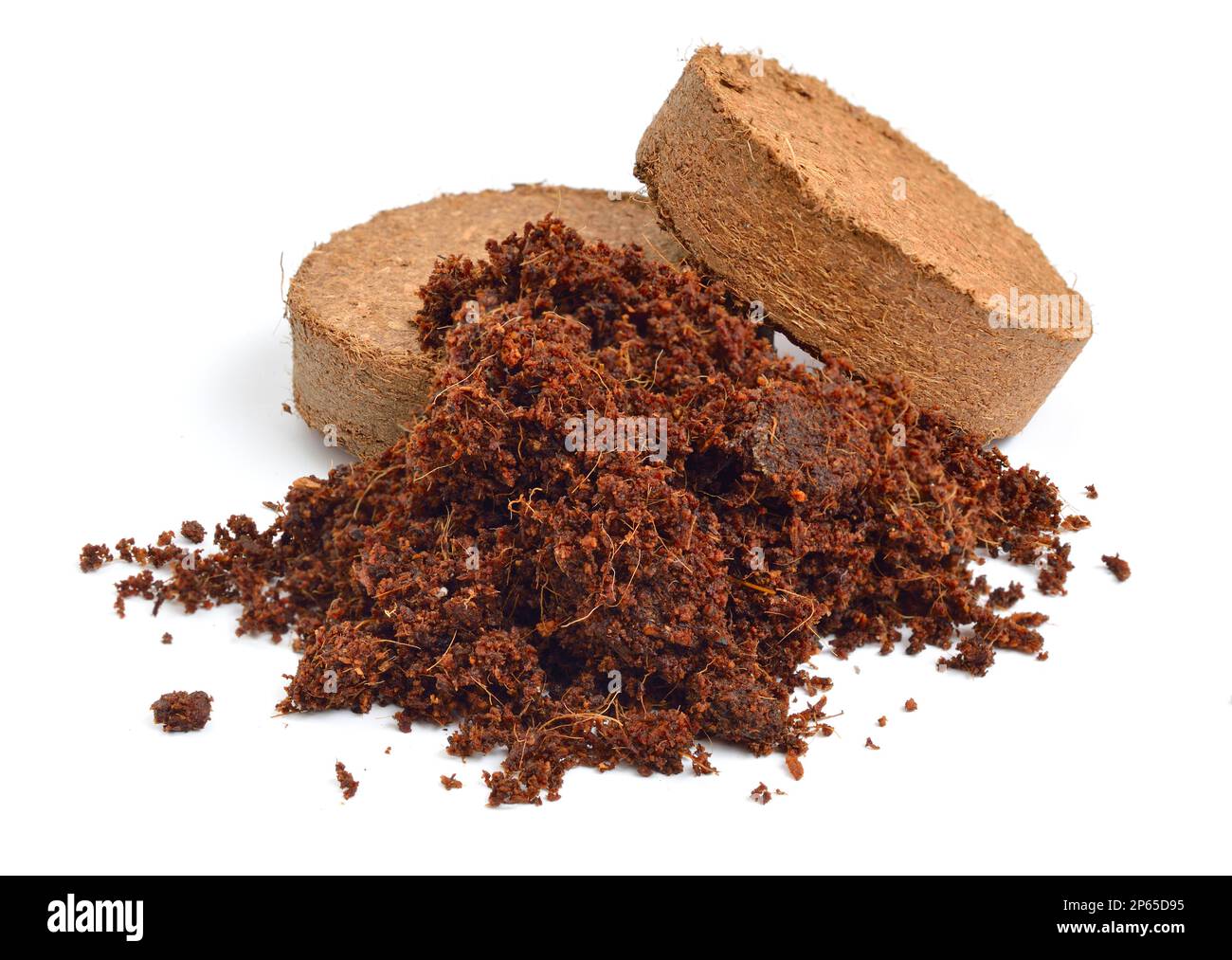 Coconut Coir substrate. Pressed briquette Isolated on White Background ...
