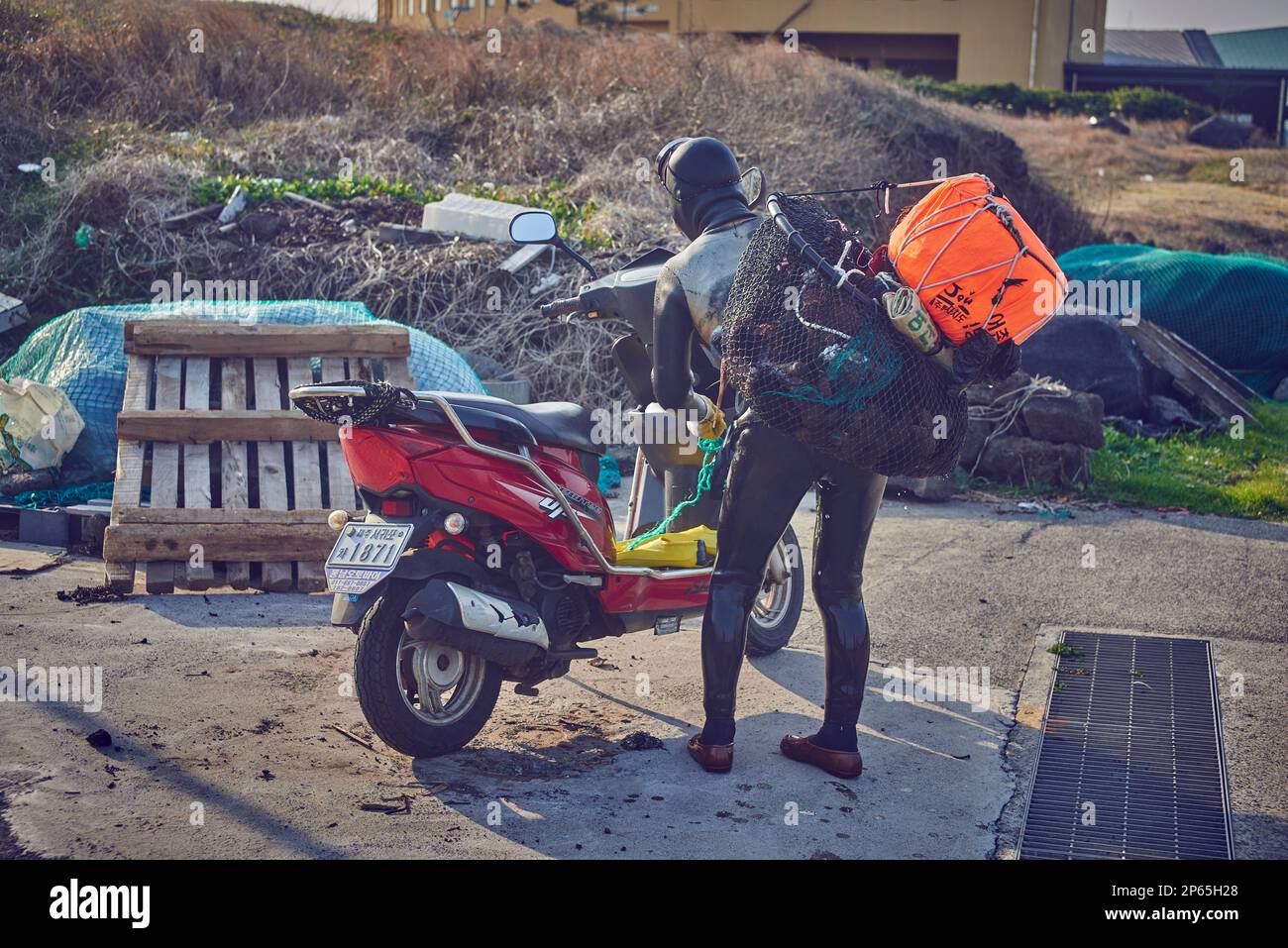 Haenyeo, the female divers in the Jeju island, South Korea Stock Photo ...