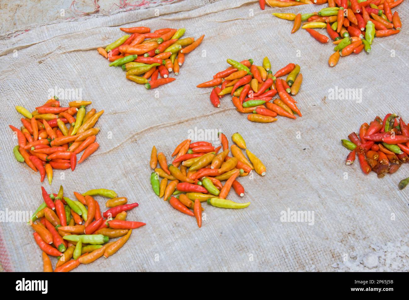 Hot pepper, Market, Dorzè land, Chencha, Ethiopia Stock Photo - Alamy