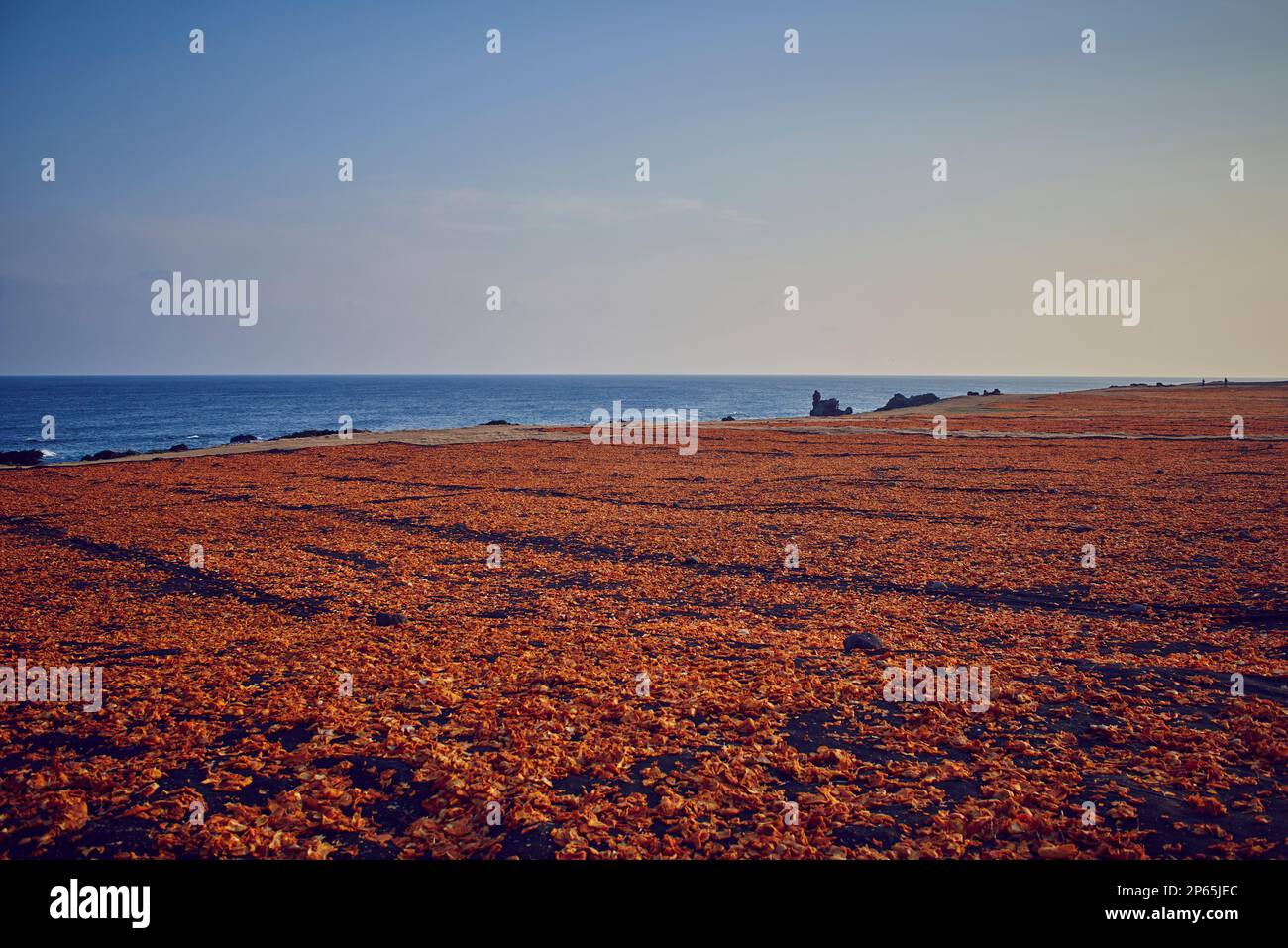 Hydrovolcanic eruptions island hi-res stock photography and images - Alamy