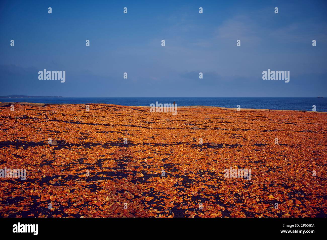 Hydrovolcanic eruptions island hi-res stock photography and images - Alamy