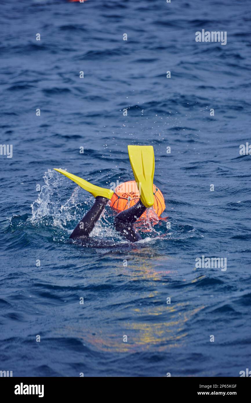 Haenyeo, the female divers in the Jeju island, South Korea Stock Photo ...