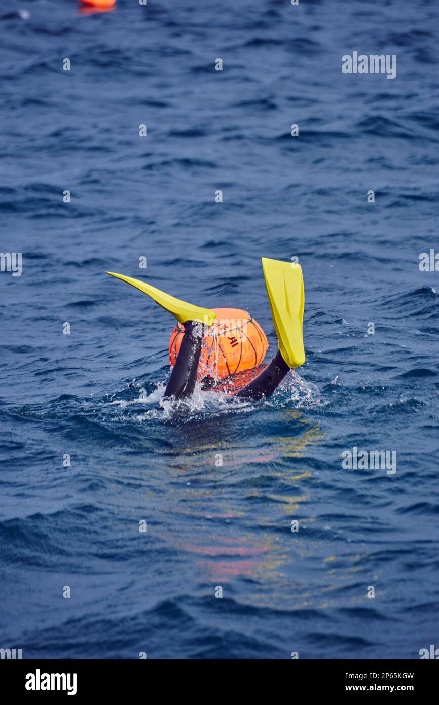 Haenyeo, the female divers in the Jeju island, South Korea Stock Photo ...
