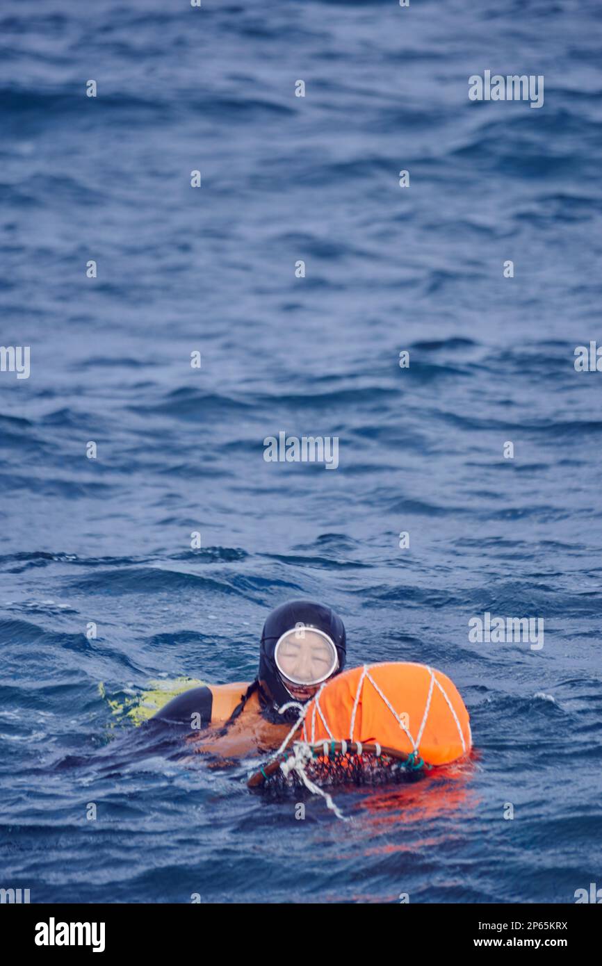 Haenyeo, the female divers in the Jeju island, South Korea Stock Photo ...