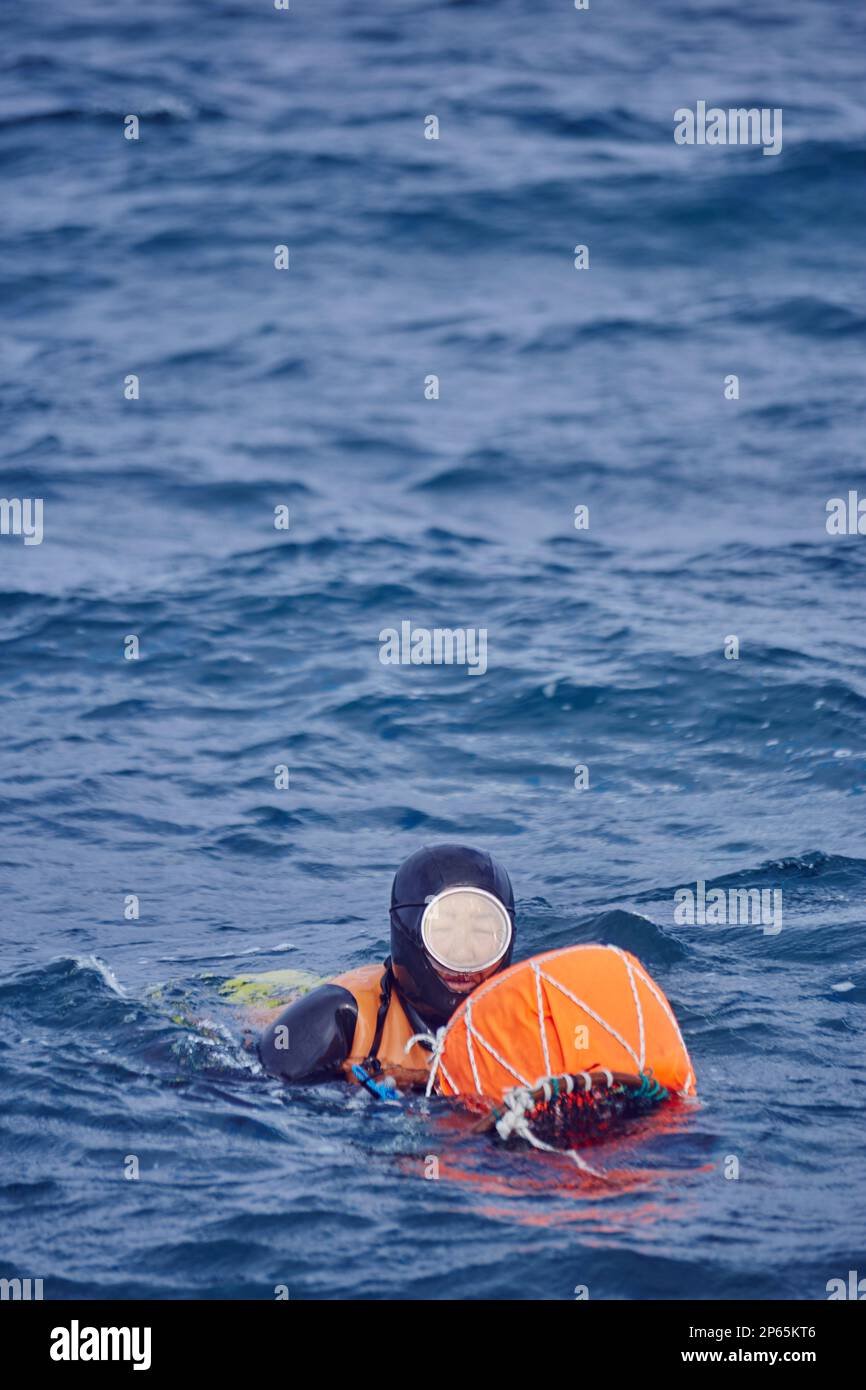 Haenyeo, the female divers in the Jeju island, South Korea Stock Photo ...