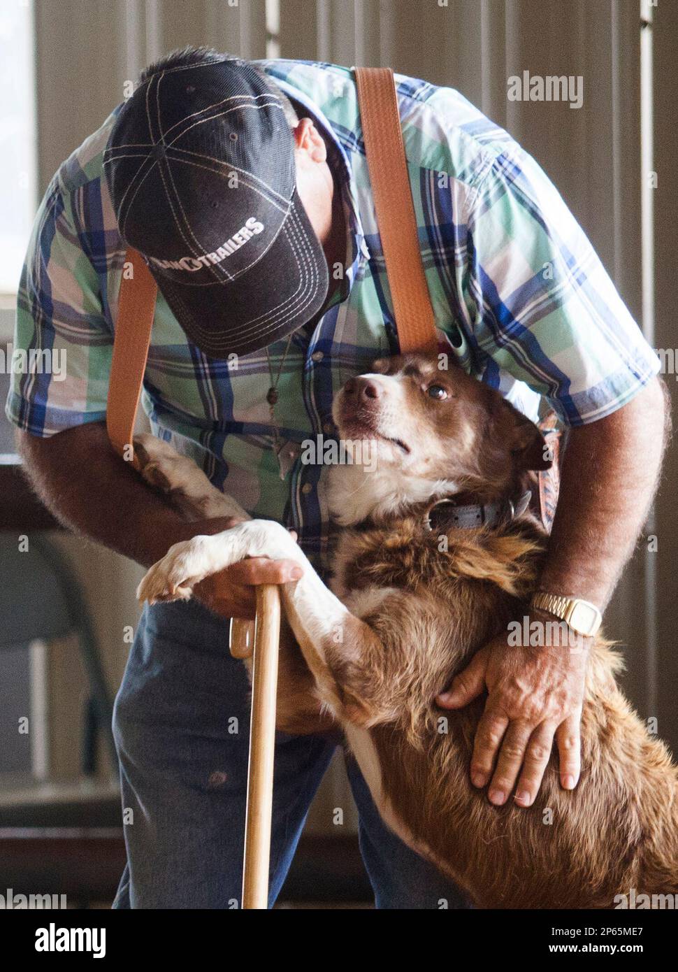 Joe Raines pets his dog Hank, an 11-year-old red border collie, before ...