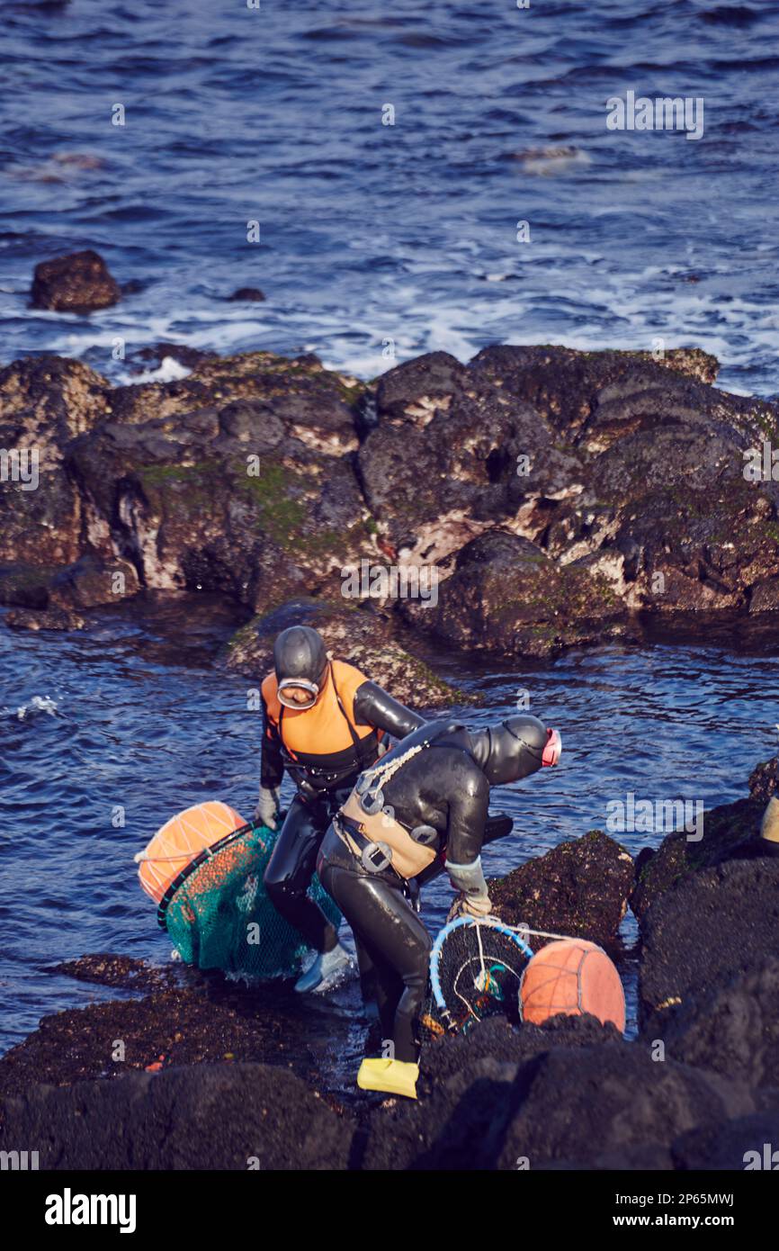 Haenyeo, the female divers in the Jeju island, South Korea Stock Photo ...