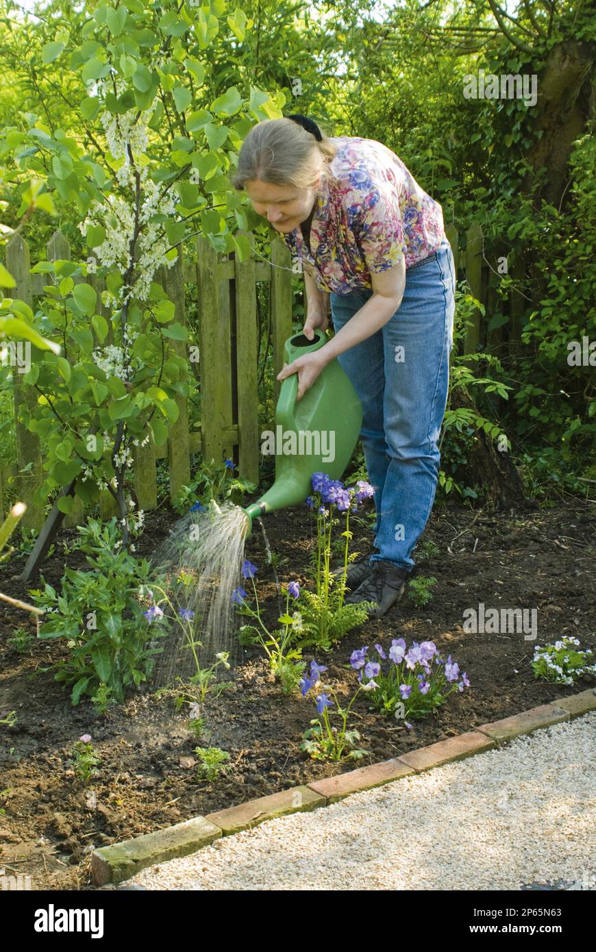 Border summer watering hi-res stock photography and images - Alamy