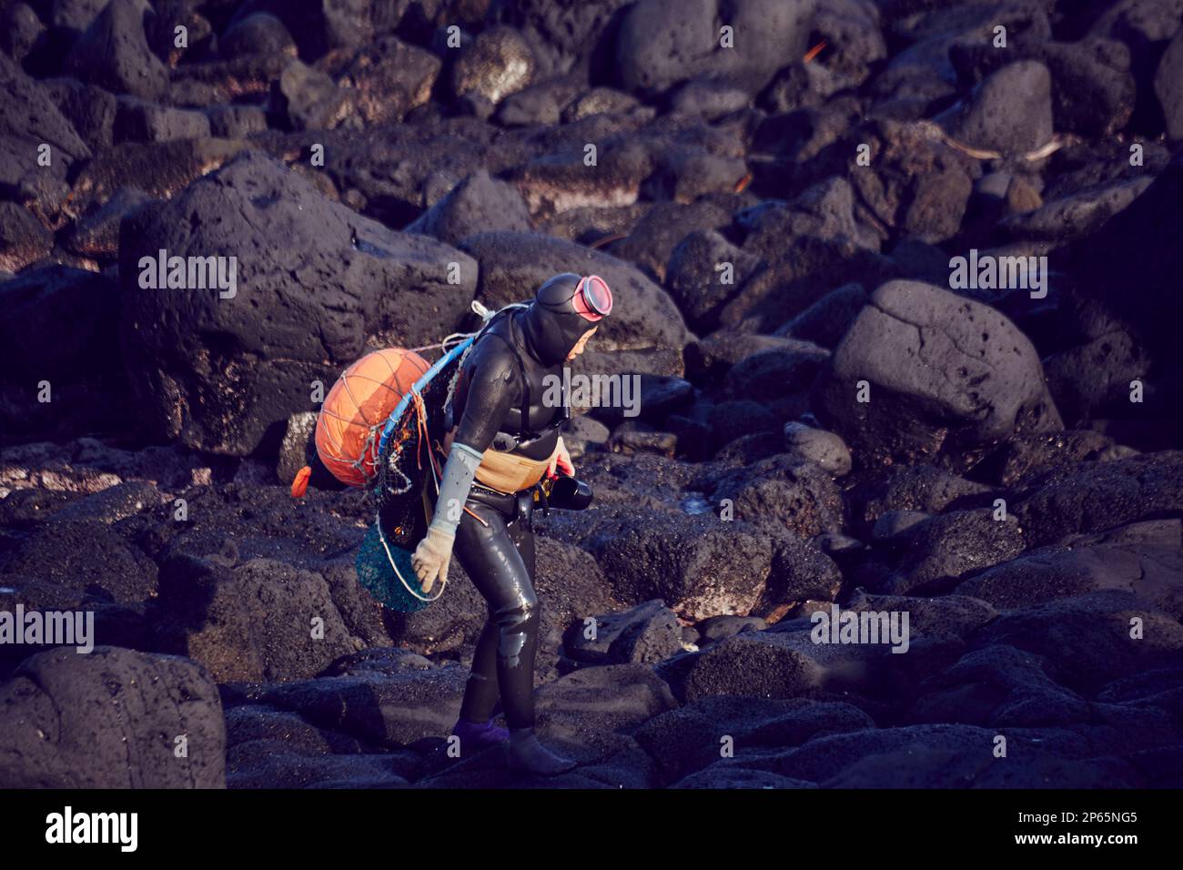 Haenyeo, the female divers in the Jeju island, South Korea Stock Photo ...