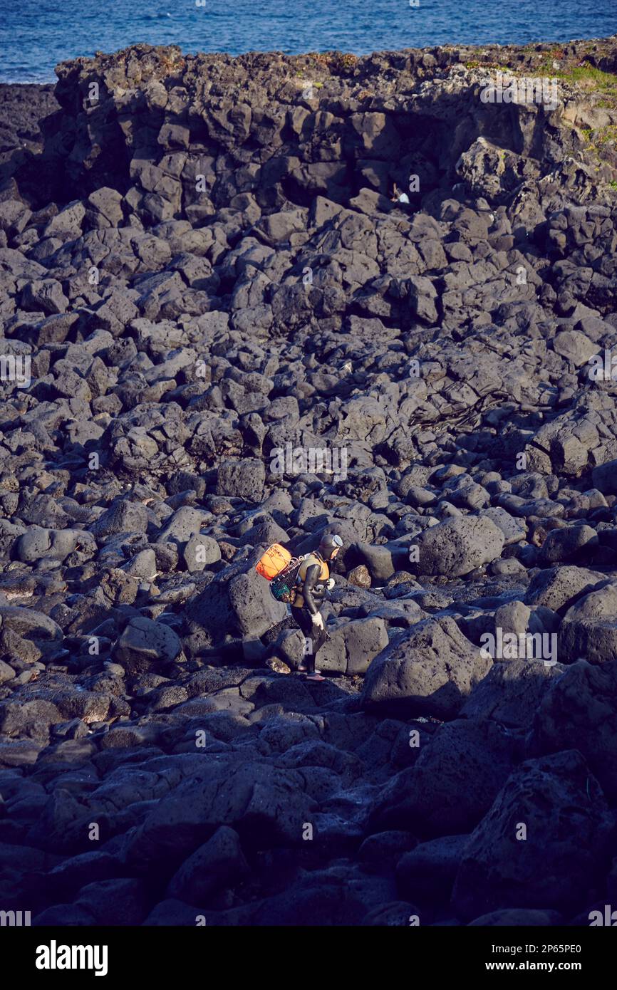 Haenyeo, the female divers in the Jeju island, South Korea Stock Photo ...