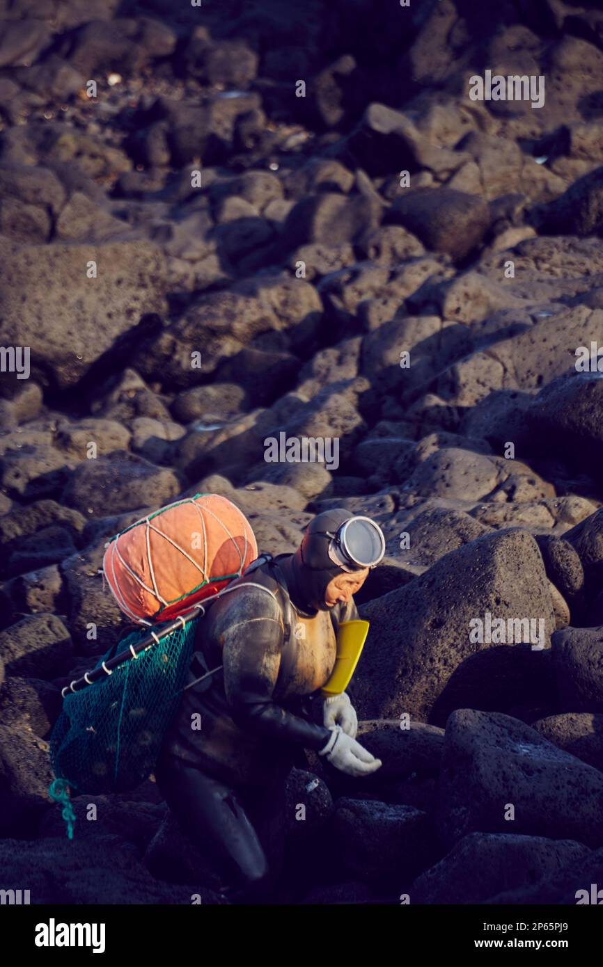 Haenyeo, the female divers in the Jeju island, South Korea Stock Photo ...