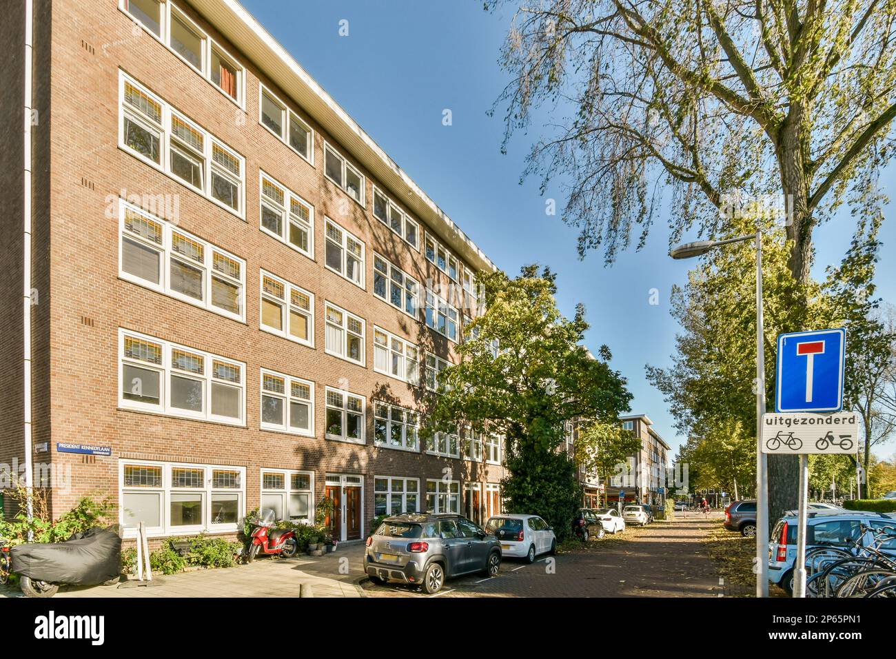 a street with cars parked on the side and trees lining the road in ...