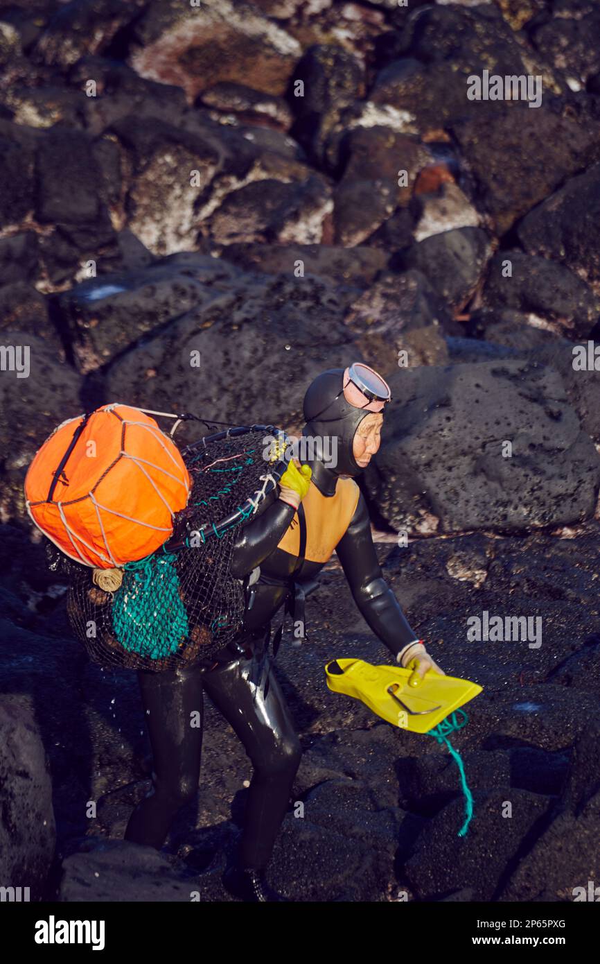 Haenyeo, the female divers in the Jeju island, South Korea Stock Photo ...
