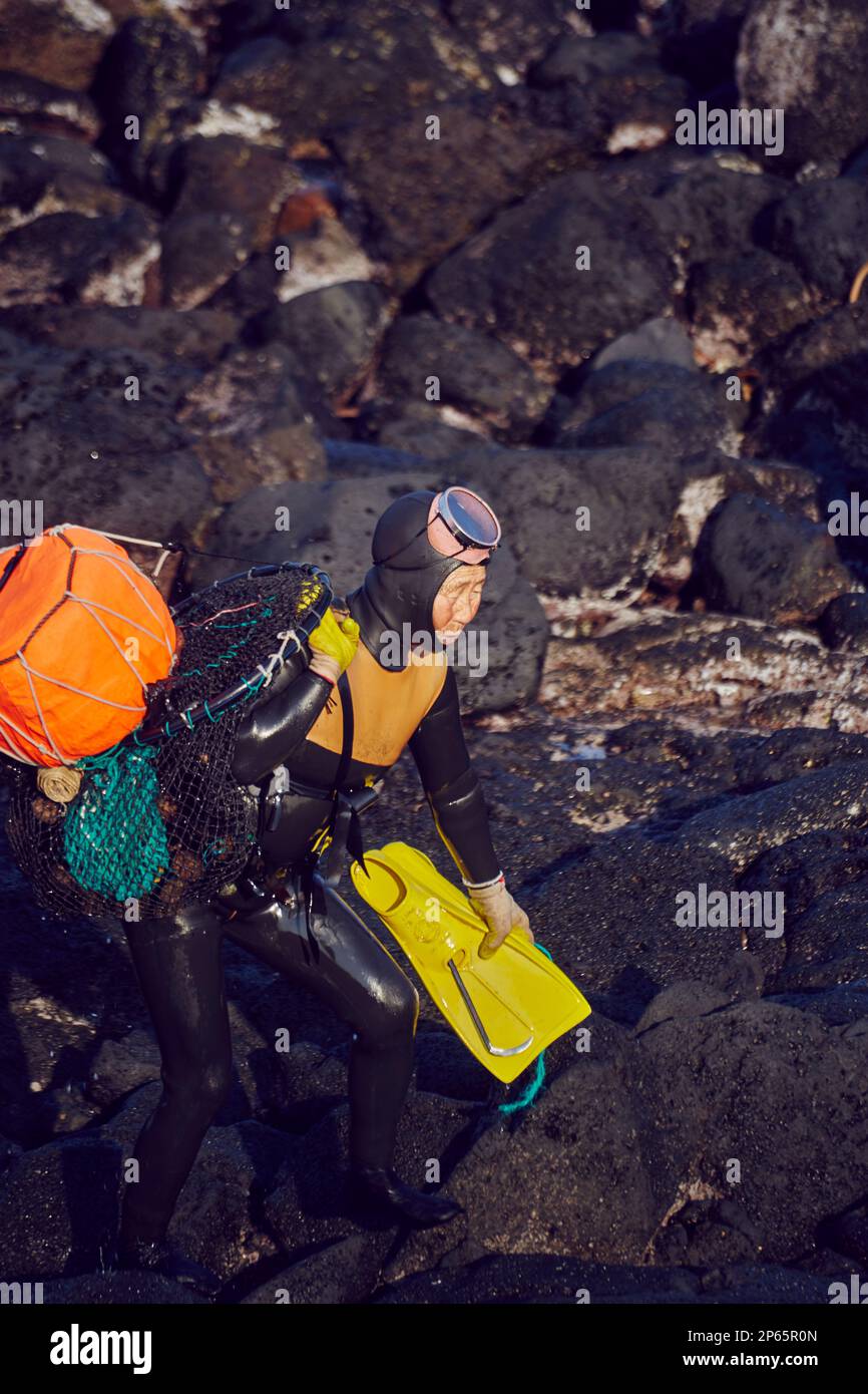 Haenyeo, the female divers in the Jeju island, South Korea Stock Photo ...