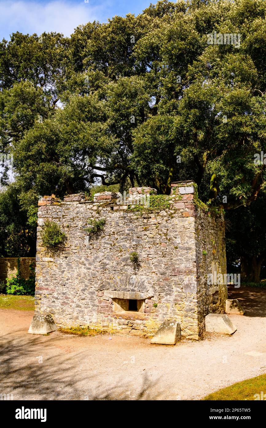 Mount edgecombe gardens hi-res stock photography and images - Alamy