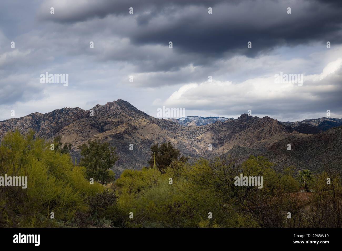 A scenic landscape featuring a sprawling grassy field surrounded by a ...