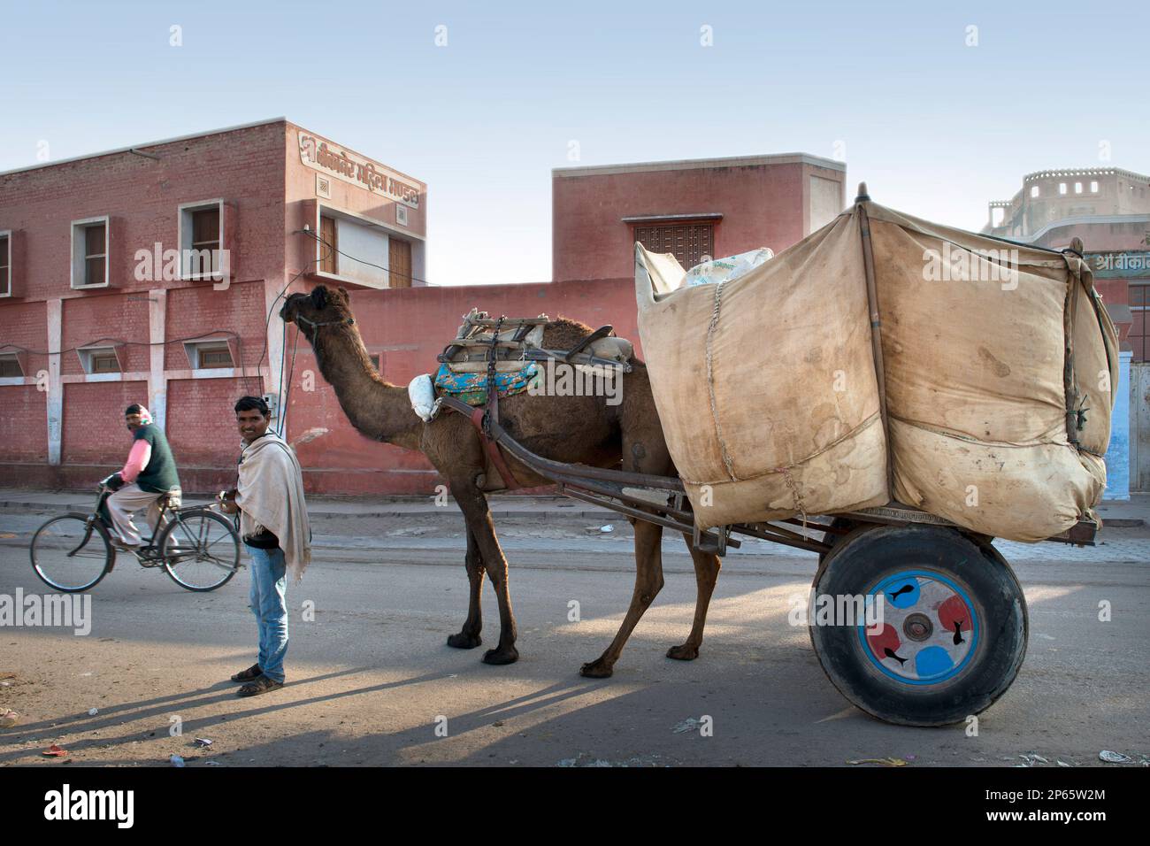 India, Rajasthan, Bikaner, daily life, transport Stock Photo - Alamy