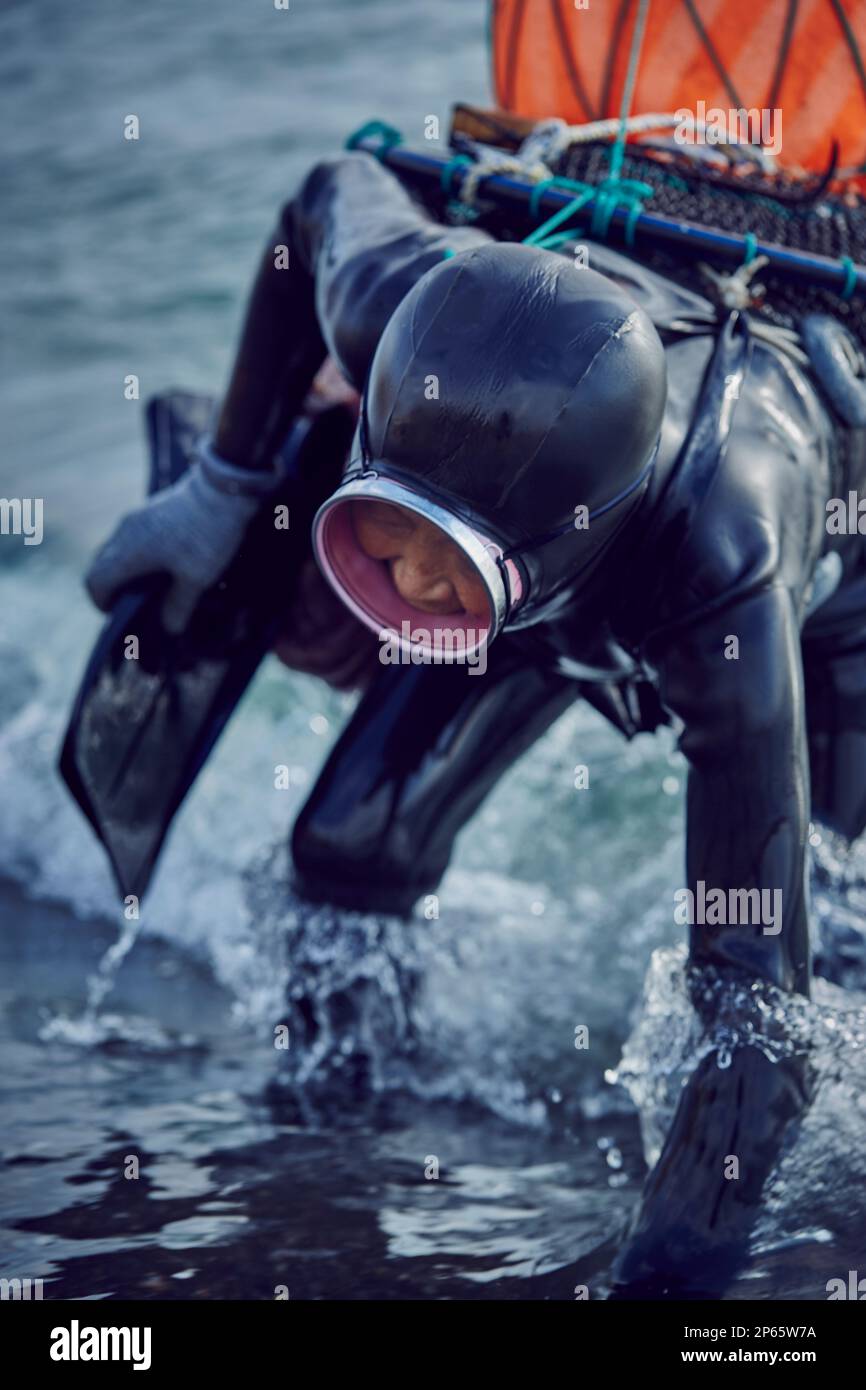 Haenyeo, the female divers in the Jeju island, South Korea Stock Photo ...