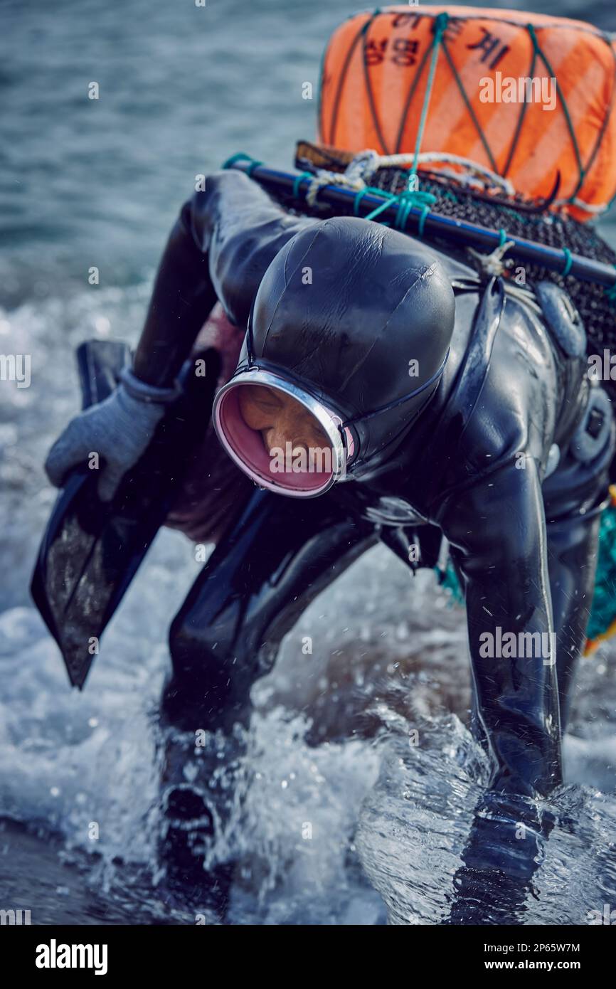 Haenyeo, the female divers in the Jeju island, South Korea Stock Photo ...