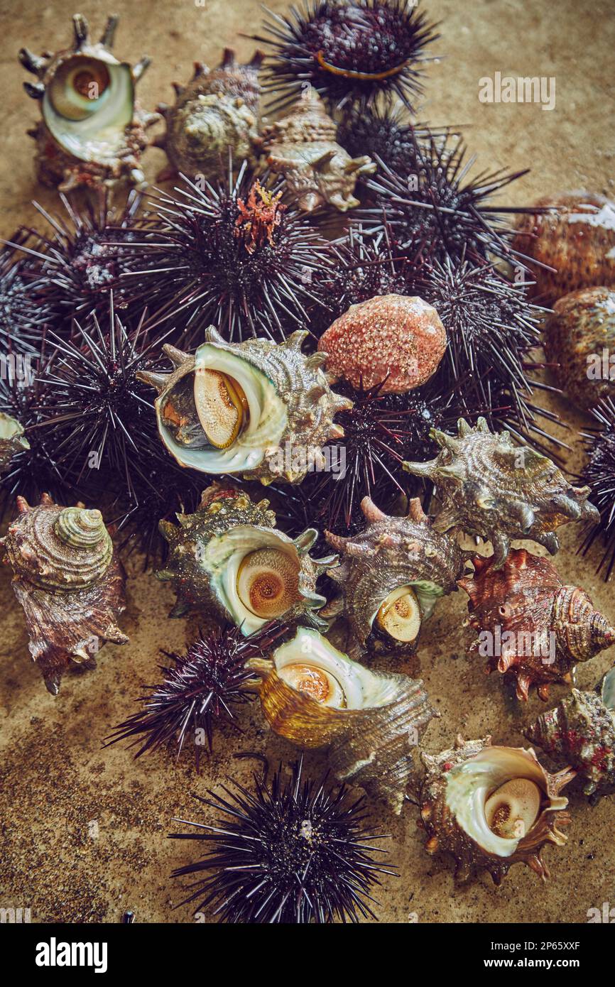 Hydrovolcanic island hi-res stock photography and images - Alamy