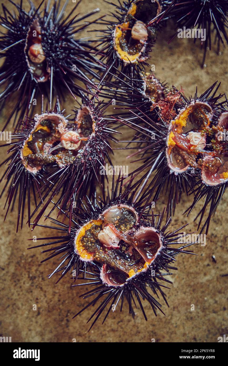 Hydrovolcanic island hi-res stock photography and images - Alamy
