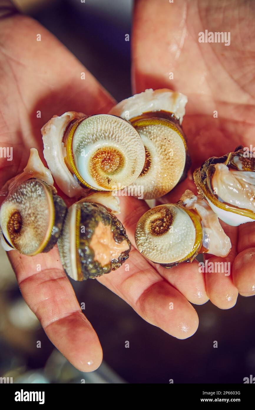 Haenyeo, the female divers in the Jeju island, South Korea Stock Photo ...