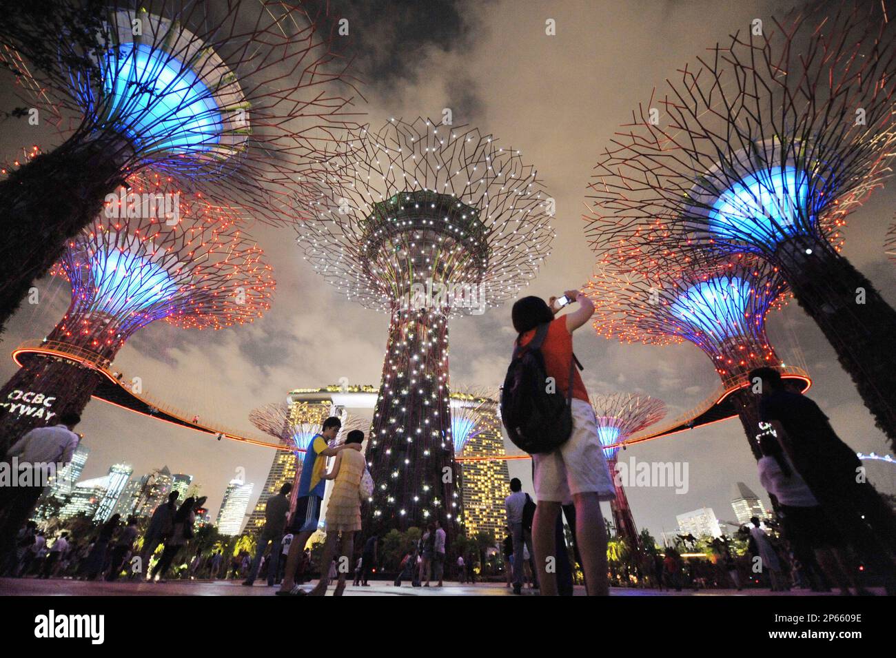 The OCBC Light and Sound Show bathes the Supertrees at the Gardens By ...