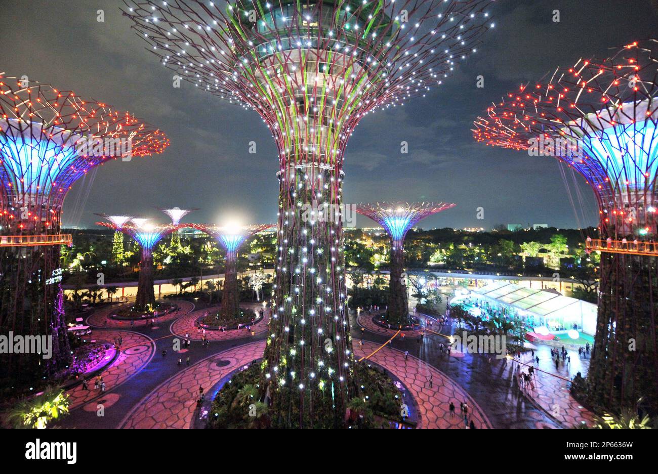 The OCBC Light and Sound Show bathes the Supertrees at the Gardens By ...