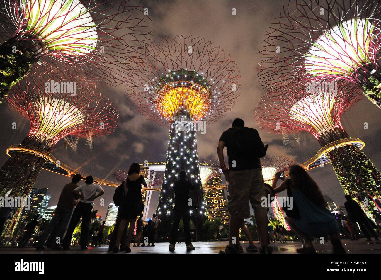 The OCBC Light and Sound Show bathes the Supertrees at the Gardens By ...