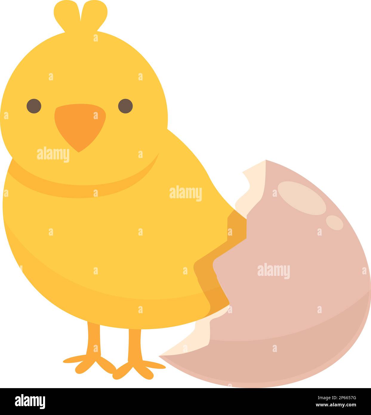 Chicken egg hatching shell nest Stock Vector Images - Alamy