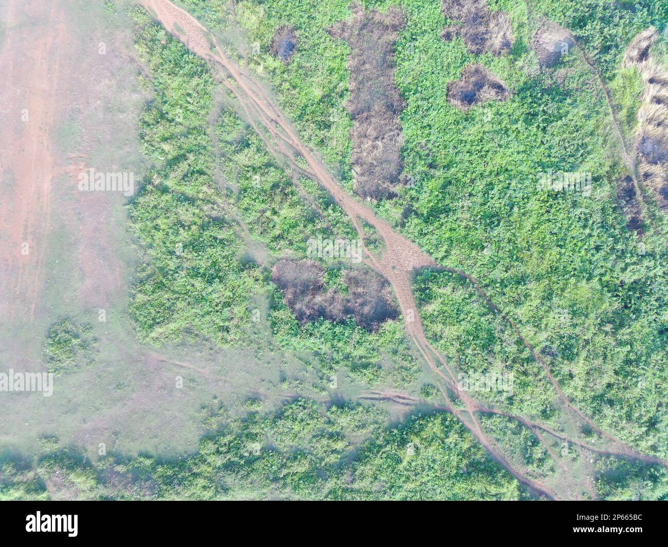 aerial view of land mapping by unmaned aerial vehicle in Bogor ...