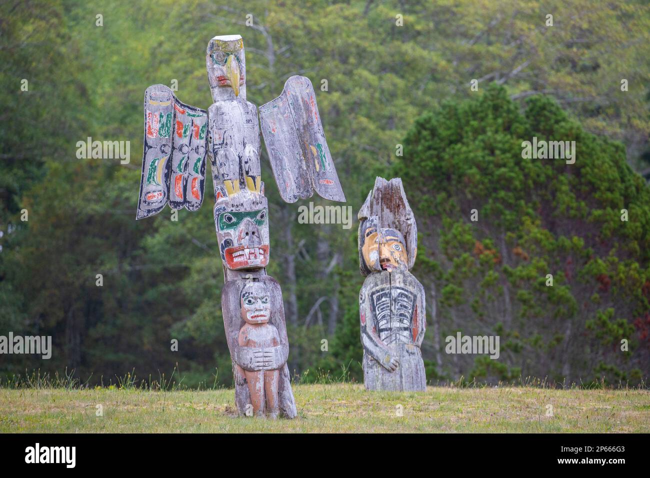 Kwakwaka'wakw totem poles in the cemetery in Alert Bay, Cormorant ...