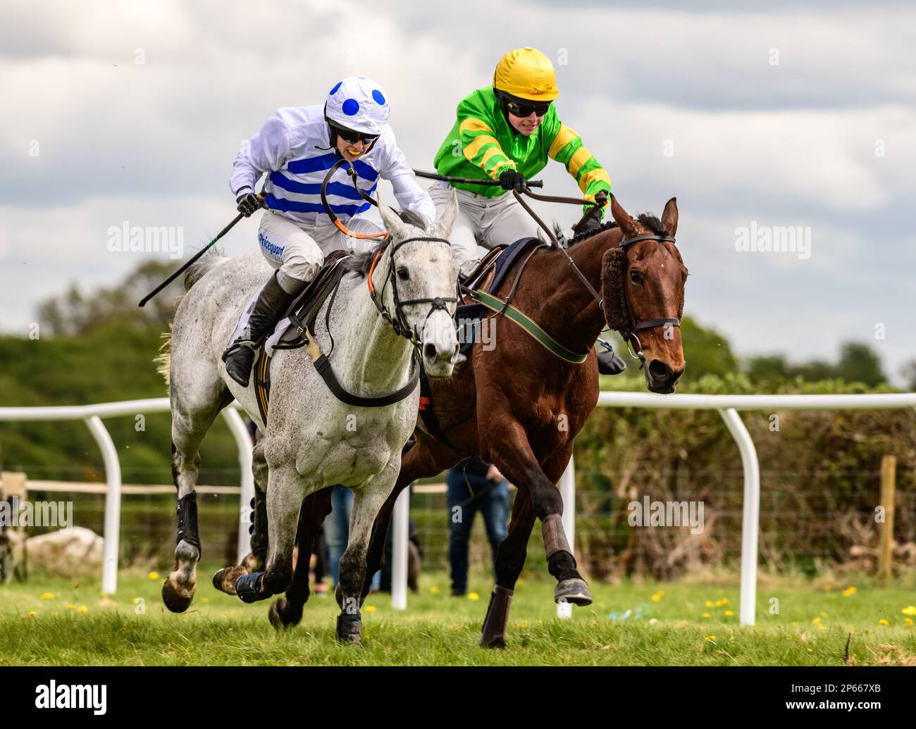 Point to point horse racing Eyton on Severn 2022 Stock Photo - Alamy